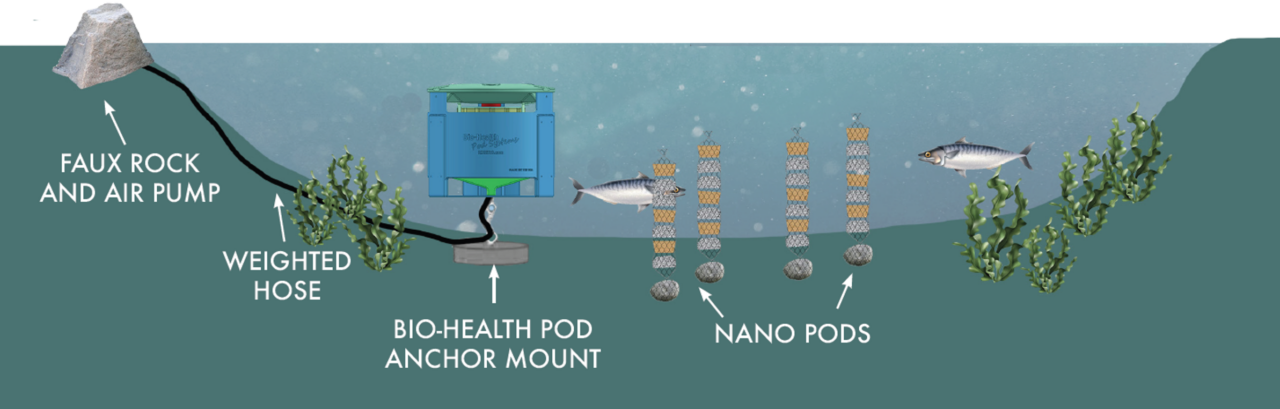 How It Works | Bio-Health Pod Systems